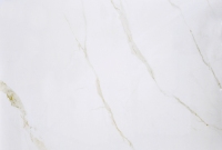 Calacatta Oro Venato - MGSI