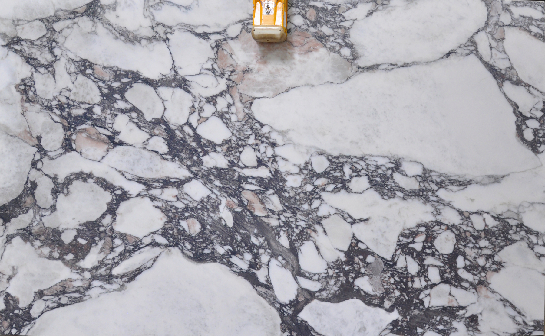 Calacatta Viola - MGSI